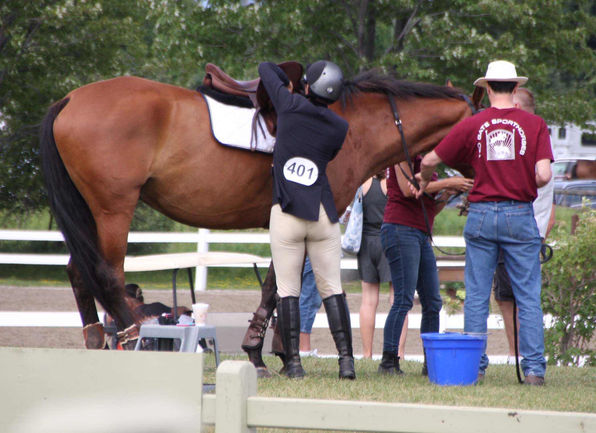 Cairo Jumping at Wesley Clover Park – August 2016 – Red Gate Sporthorses